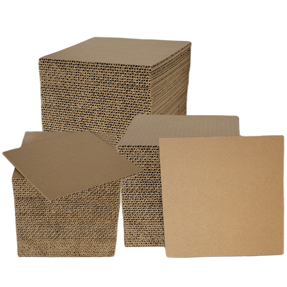 St. Pete Paper & Packaging – St. Pete Paper & Packaging